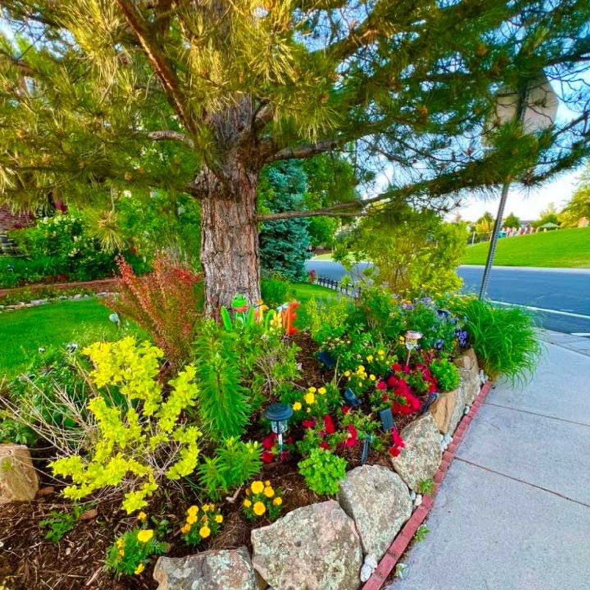 Gardens In Bloom Landscaping - Nextdoor
