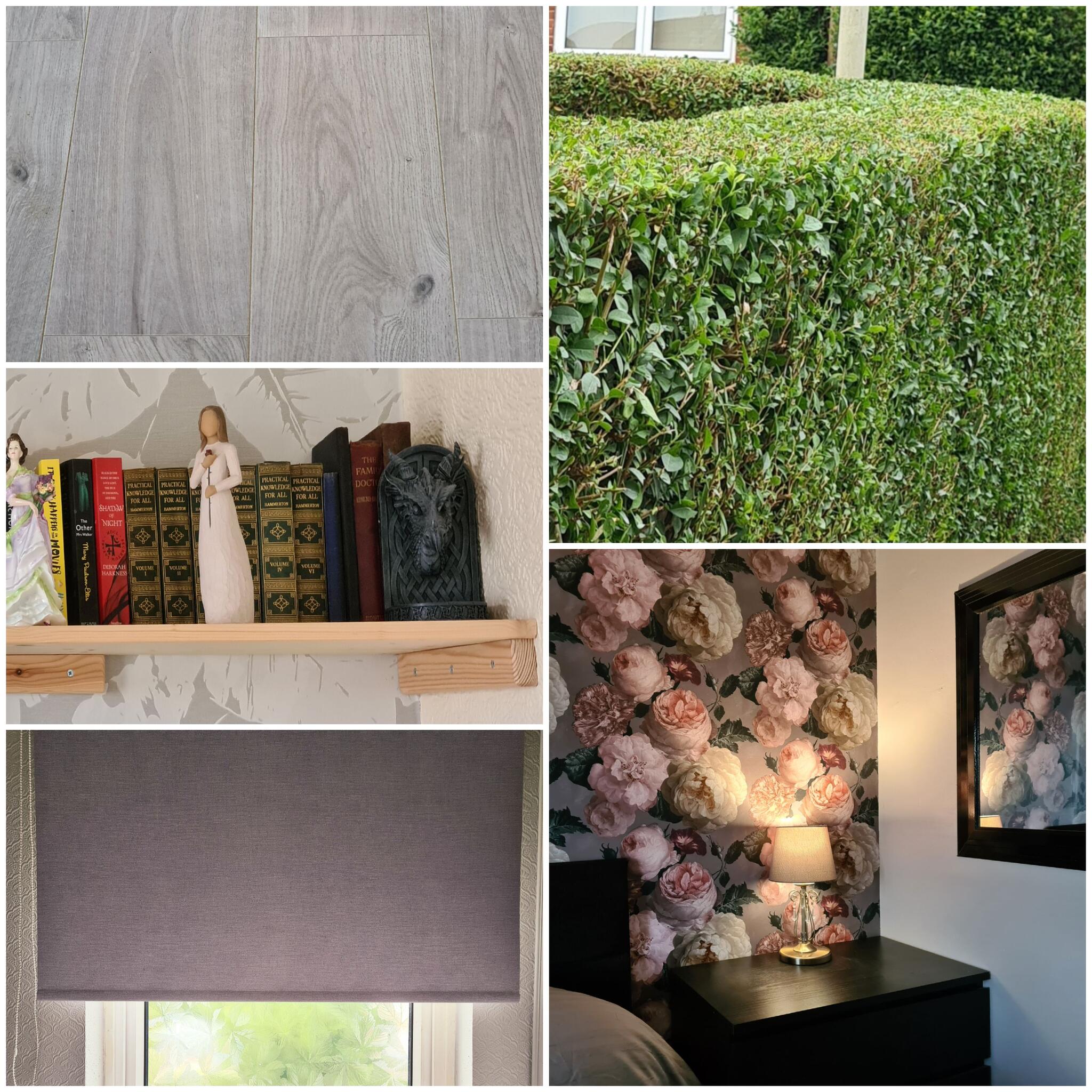Steve Agar - Home & Garden Services - Nextdoor