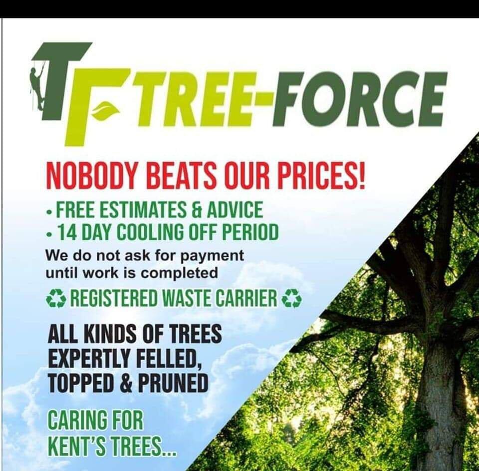 tf tree force - Nextdoor