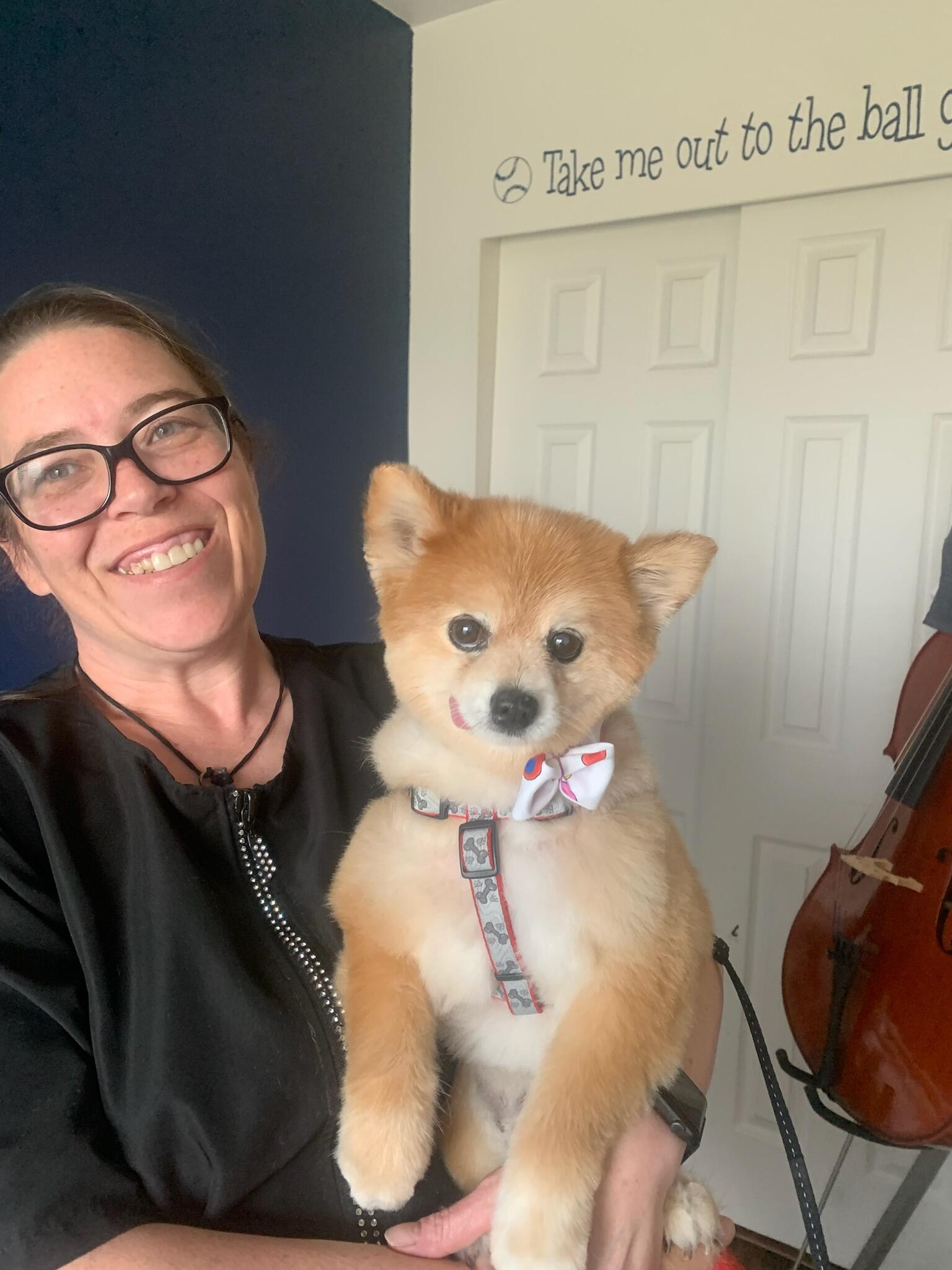 Doggy Door Grooming - Nextdoor