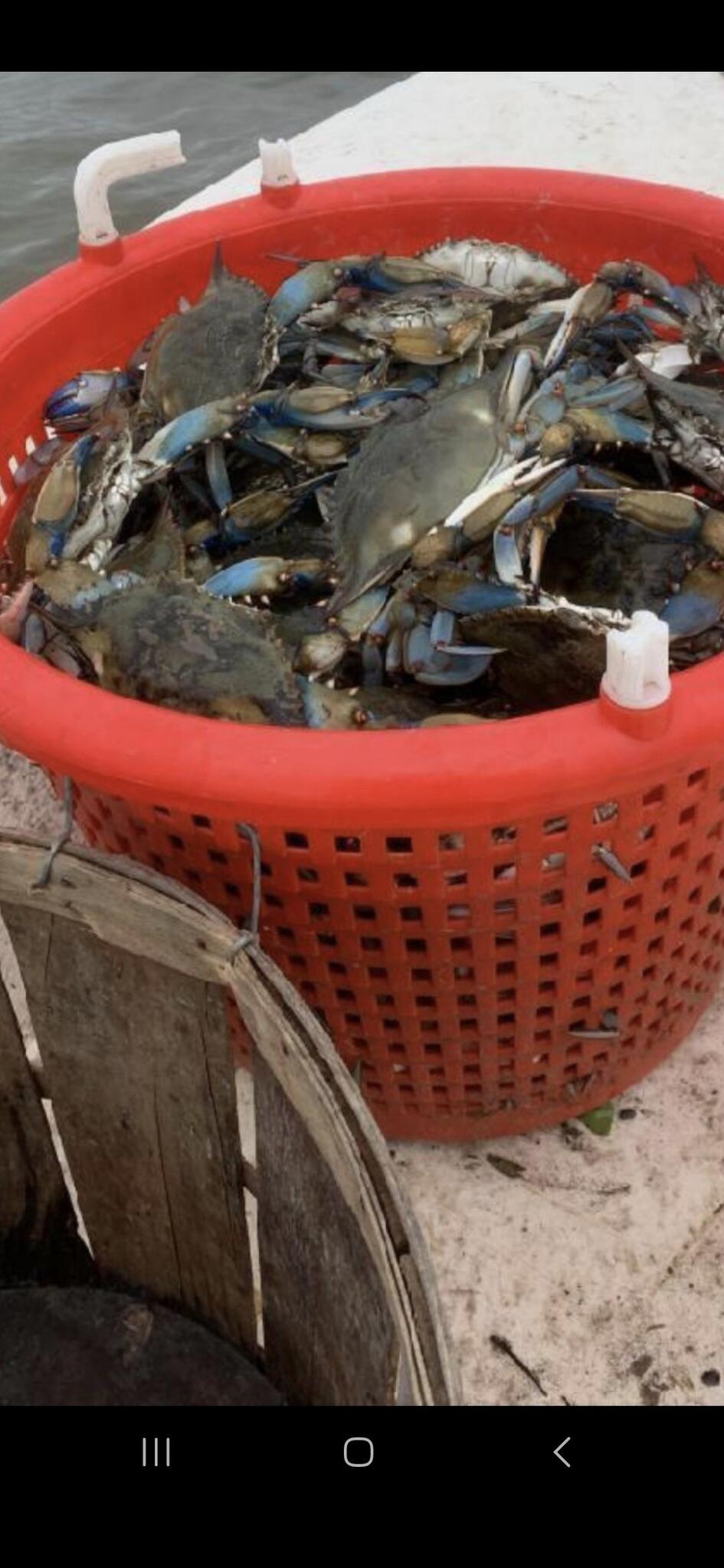 Ryan's crabs - Dunkirk, MD - Nextdoor