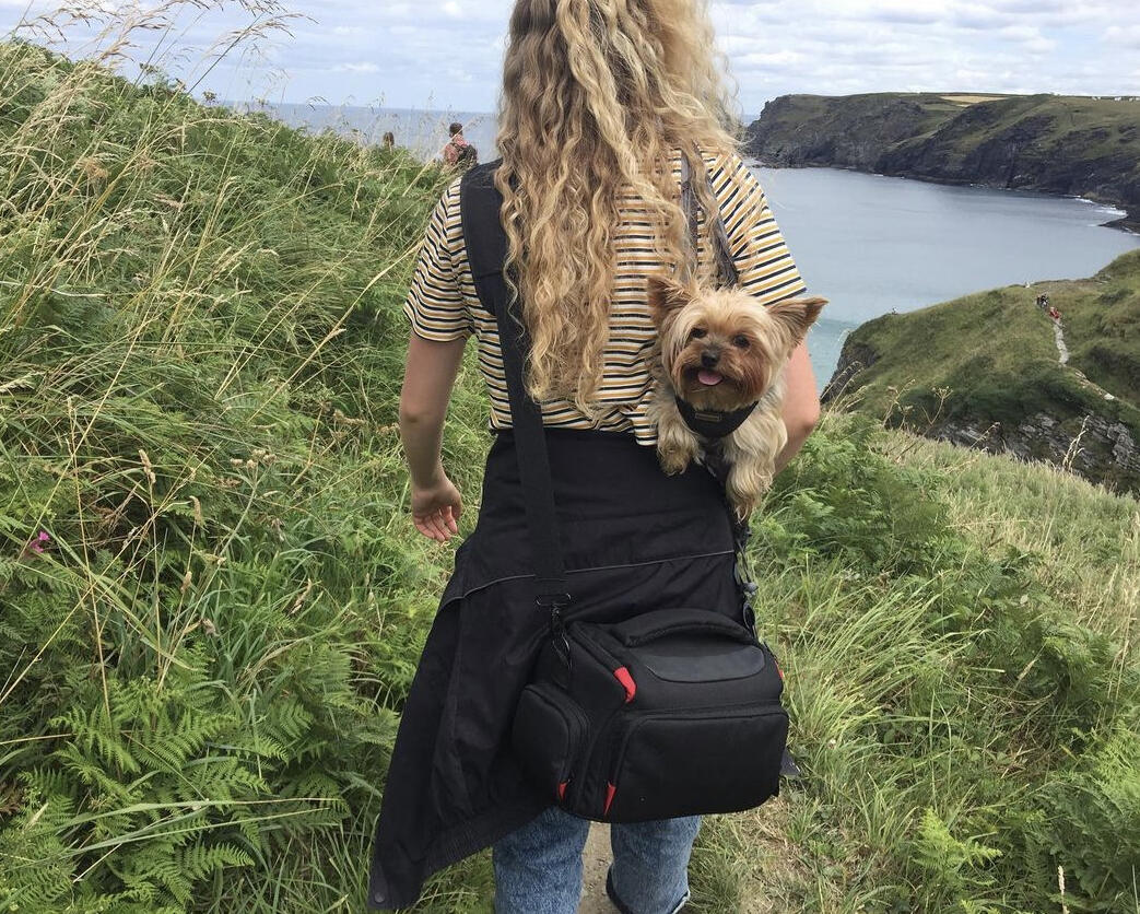 Blaise Robbins - Penryn - Nextdoor