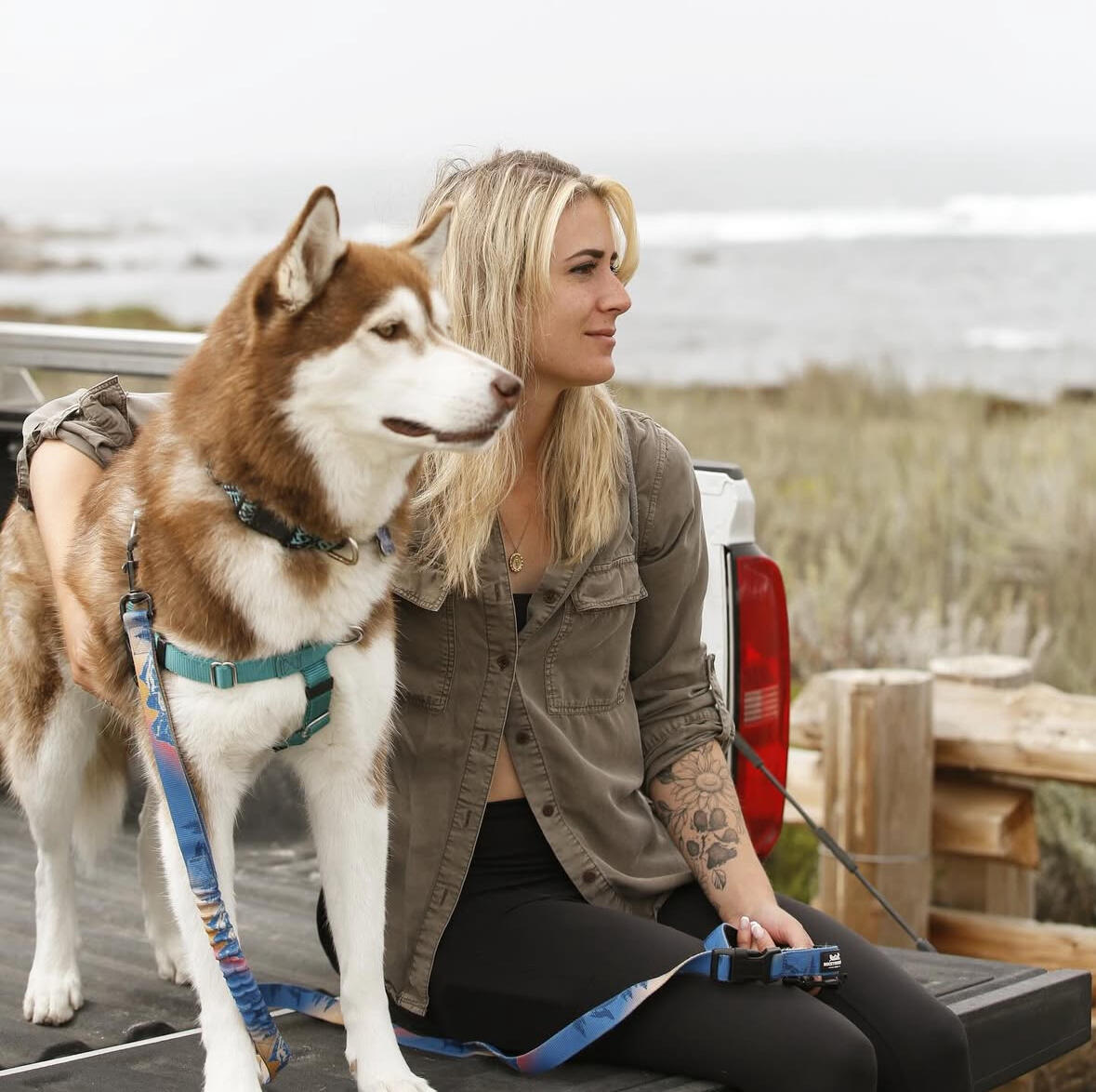 Monterey Dog - Nextdoor