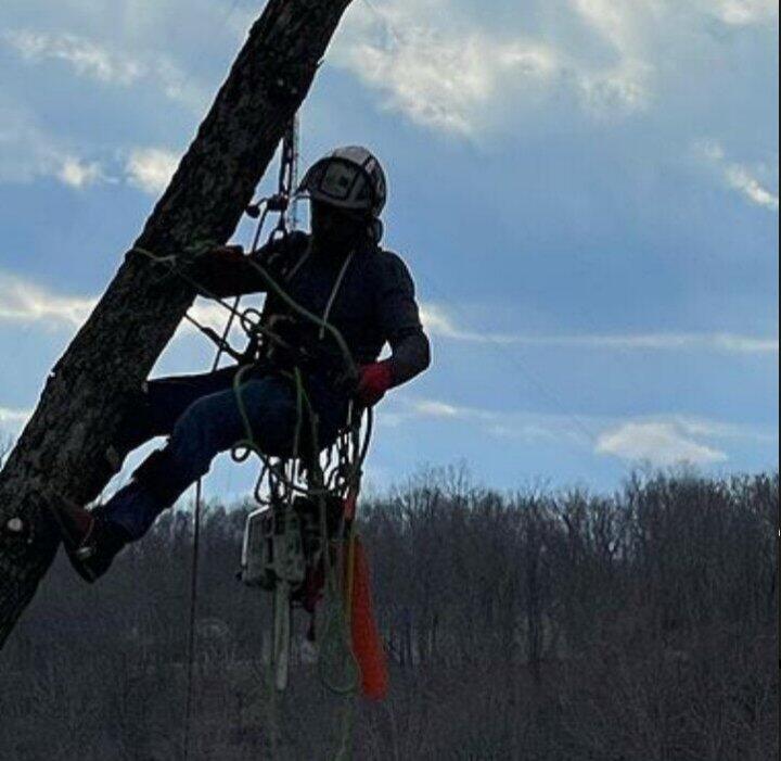 CTS Tree Services / Climber for hire 💚🌳🌳🌳🤎 - Nextdoor