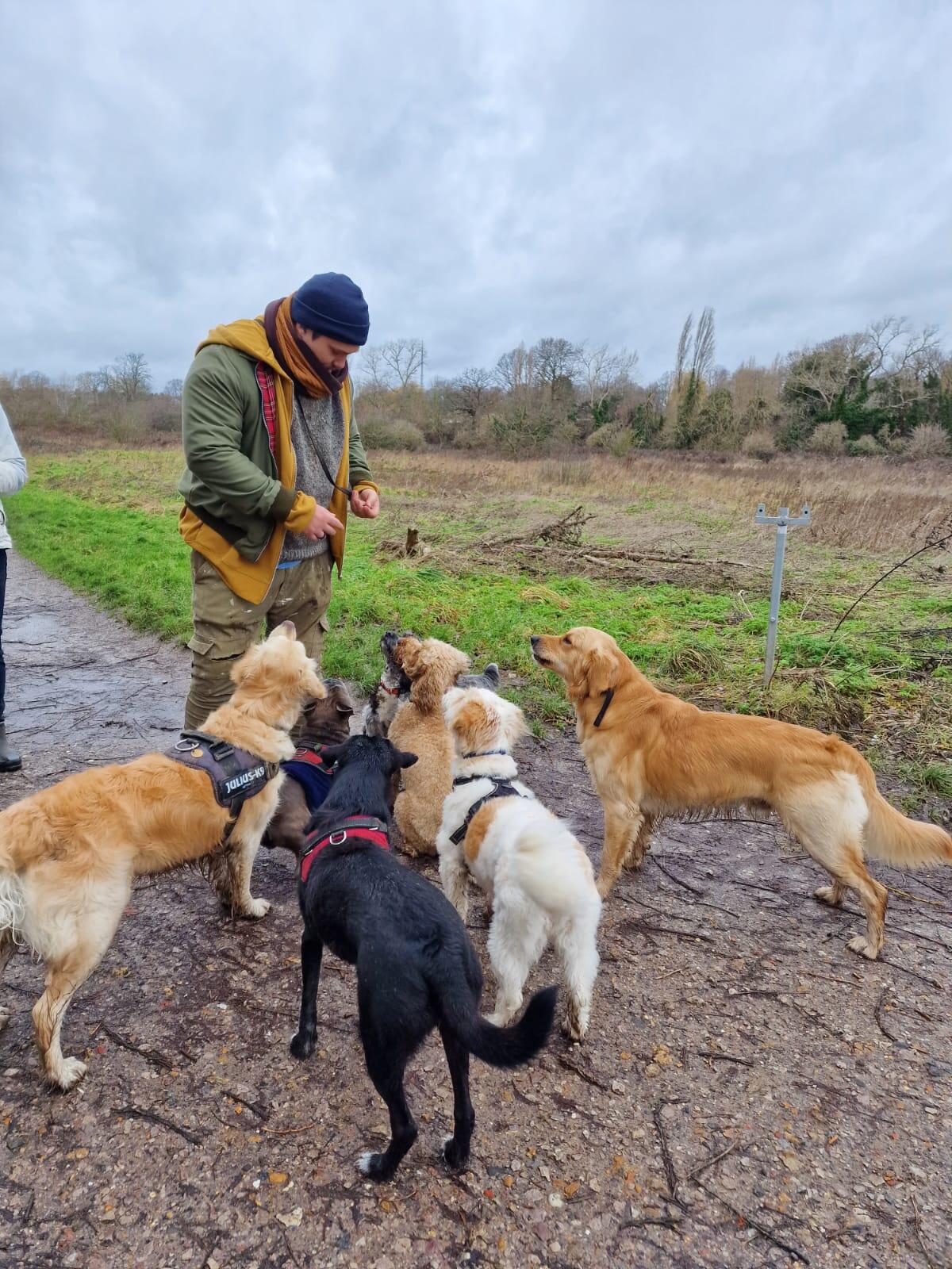miles with milo - London - Nextdoor