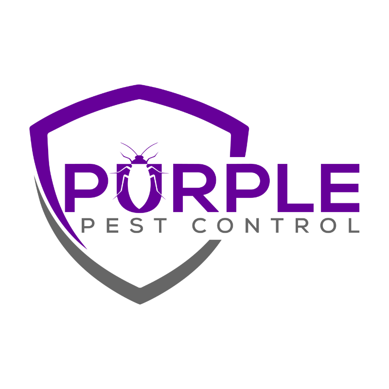 Pest Control Concord Nc