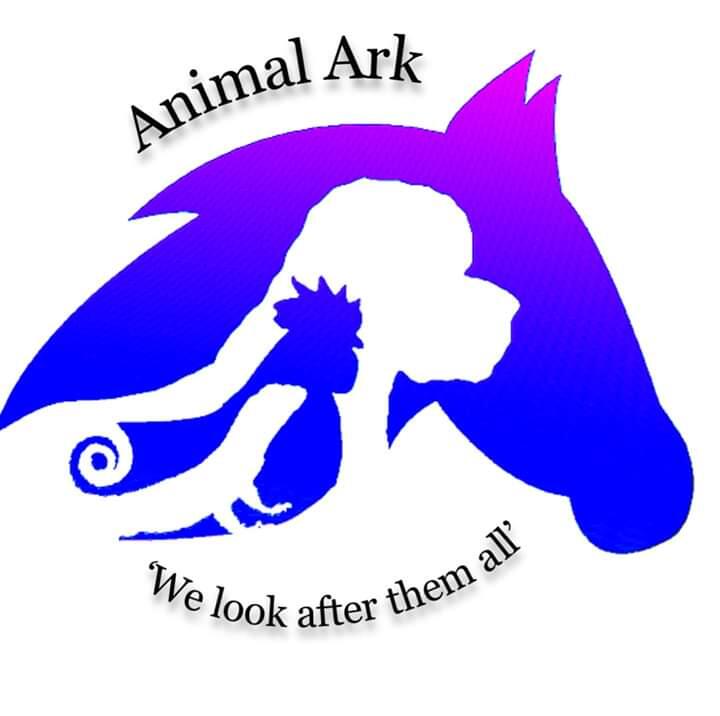 Animal Ark - 'We look after them all' - Crawley - Nextdoor