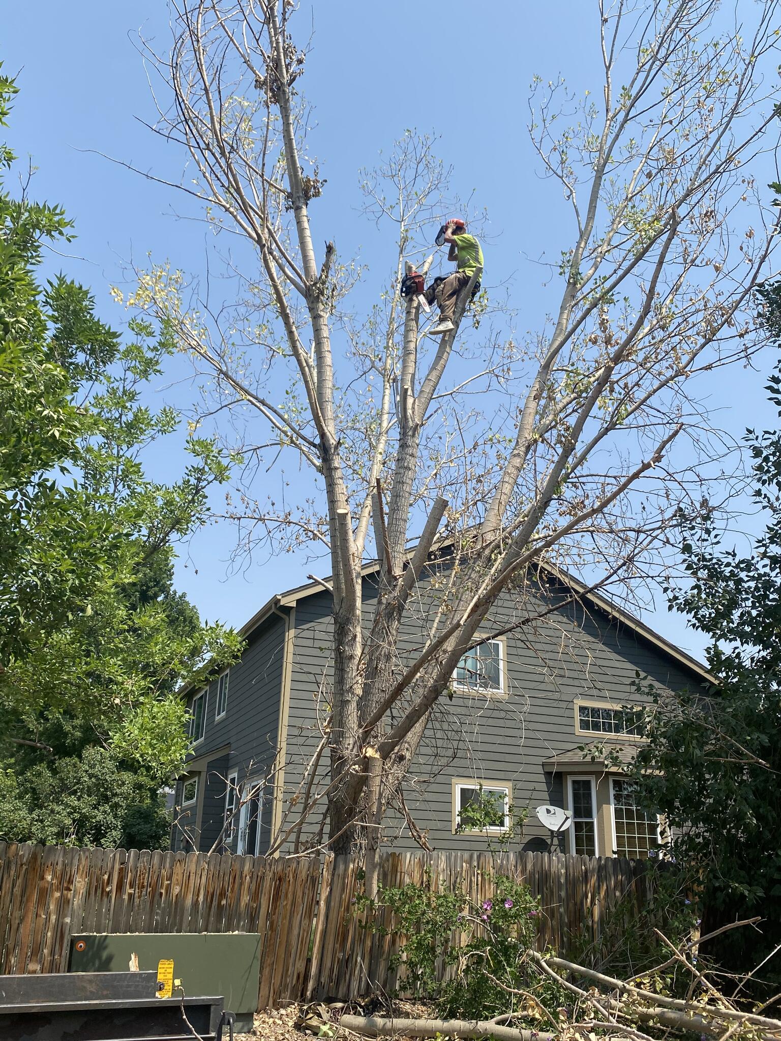 Access Tree Works - Nextdoor