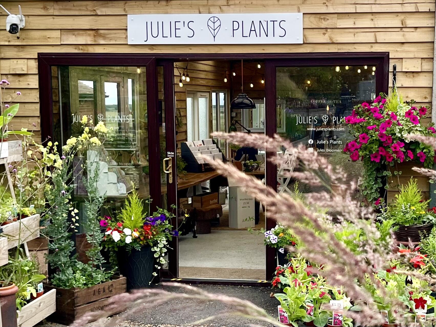 Julie's Plants - Bexhill-On-Sea - Nextdoor