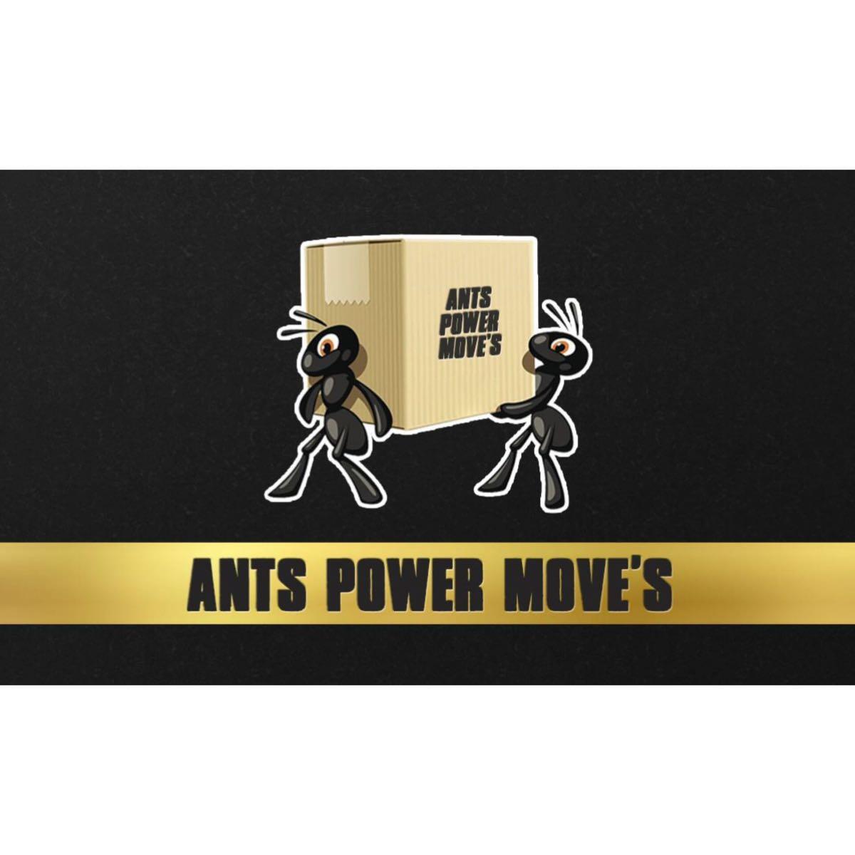 Ants Power Moves - London, GB-ENG - Nextdoor