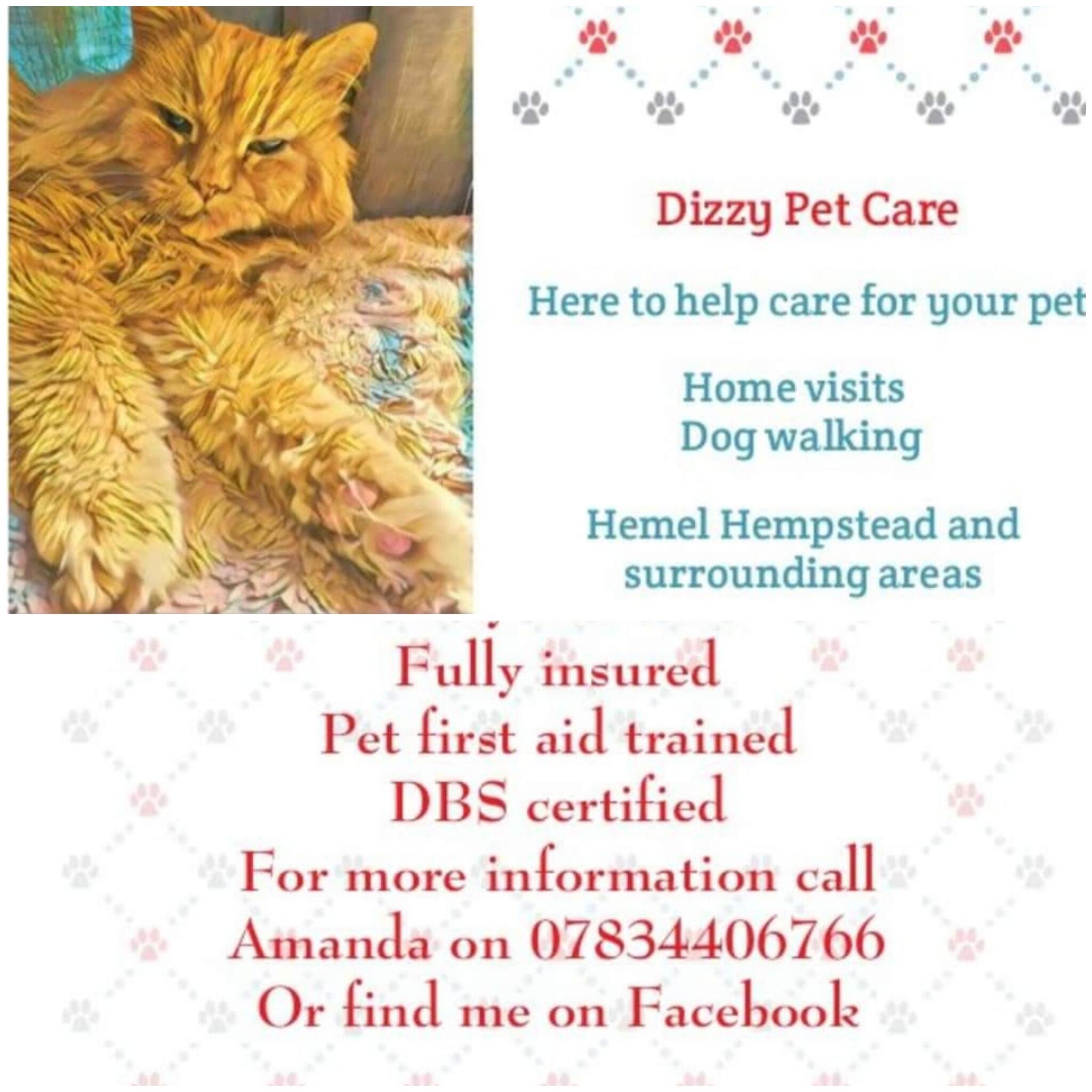 Dizzy Pet Care - Hemel Hempstead, England - Nextdoor