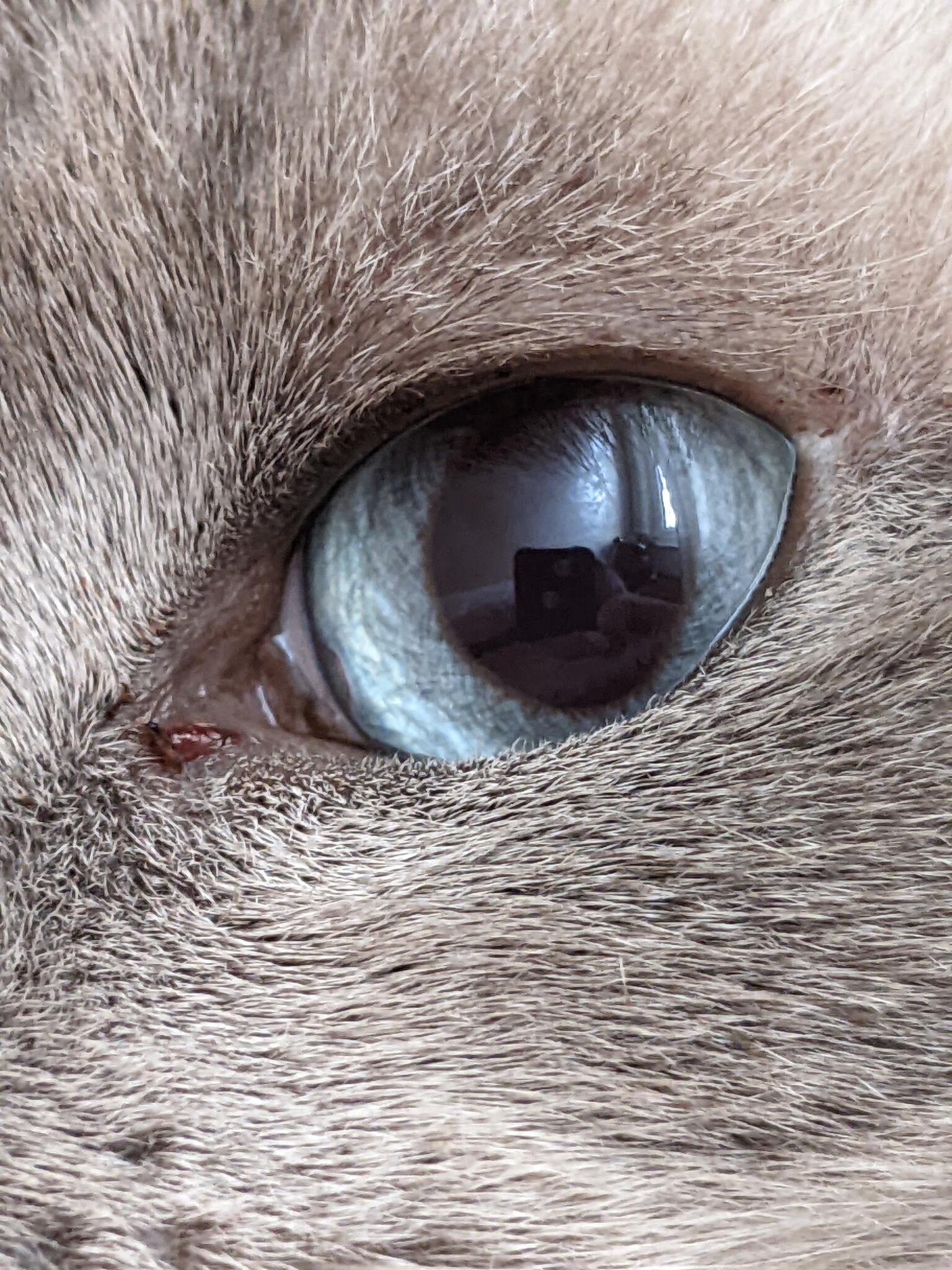 Evolution Architects - Hove - Nextdoor