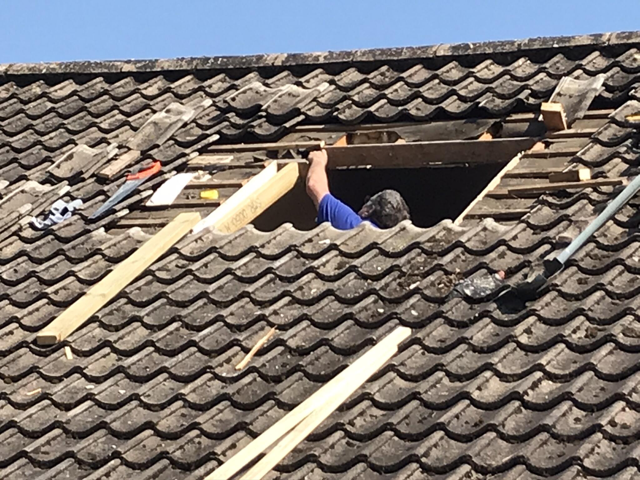 storm force roofing & building - Nextdoor