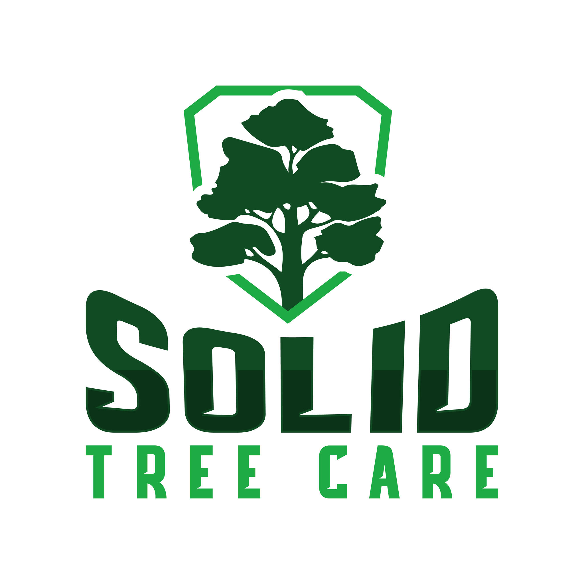 Solid Tree Care llc - Columbus, OH - Nextdoor