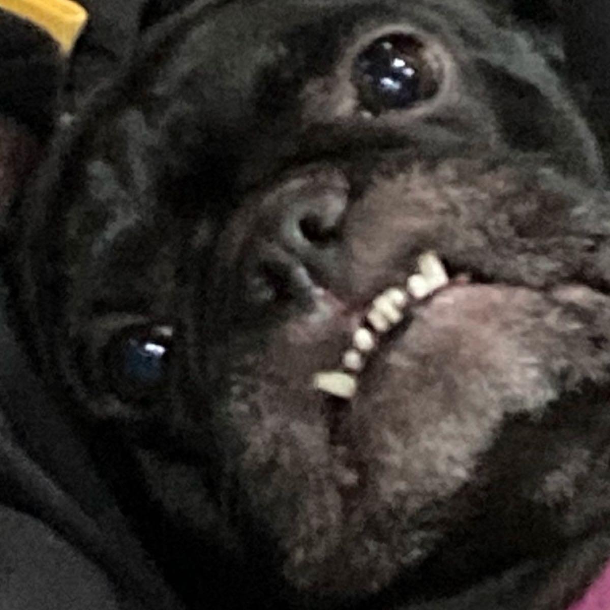 Geoff Tatler Building maintenance - High Peak - Nextdoor