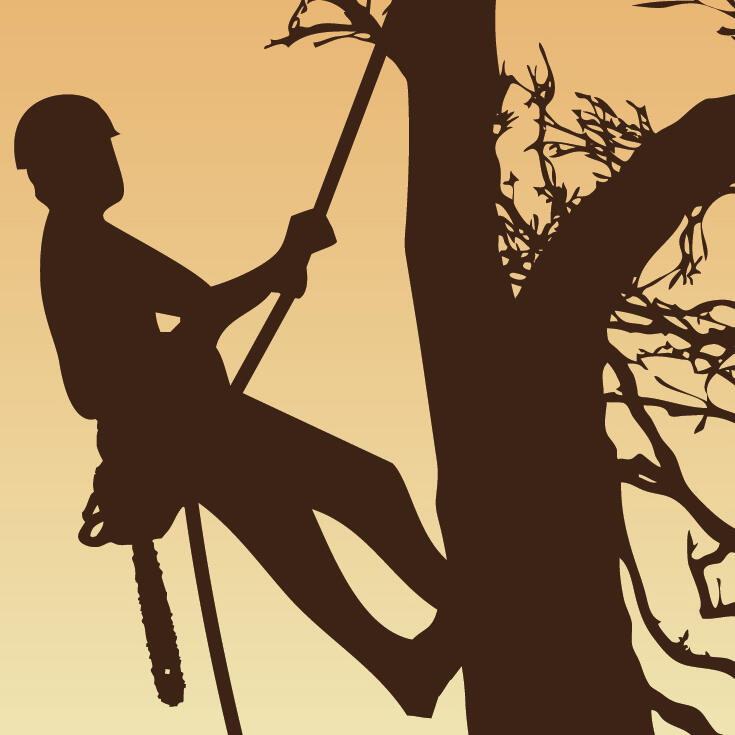 Smart Feller Tree Works - Nextdoor