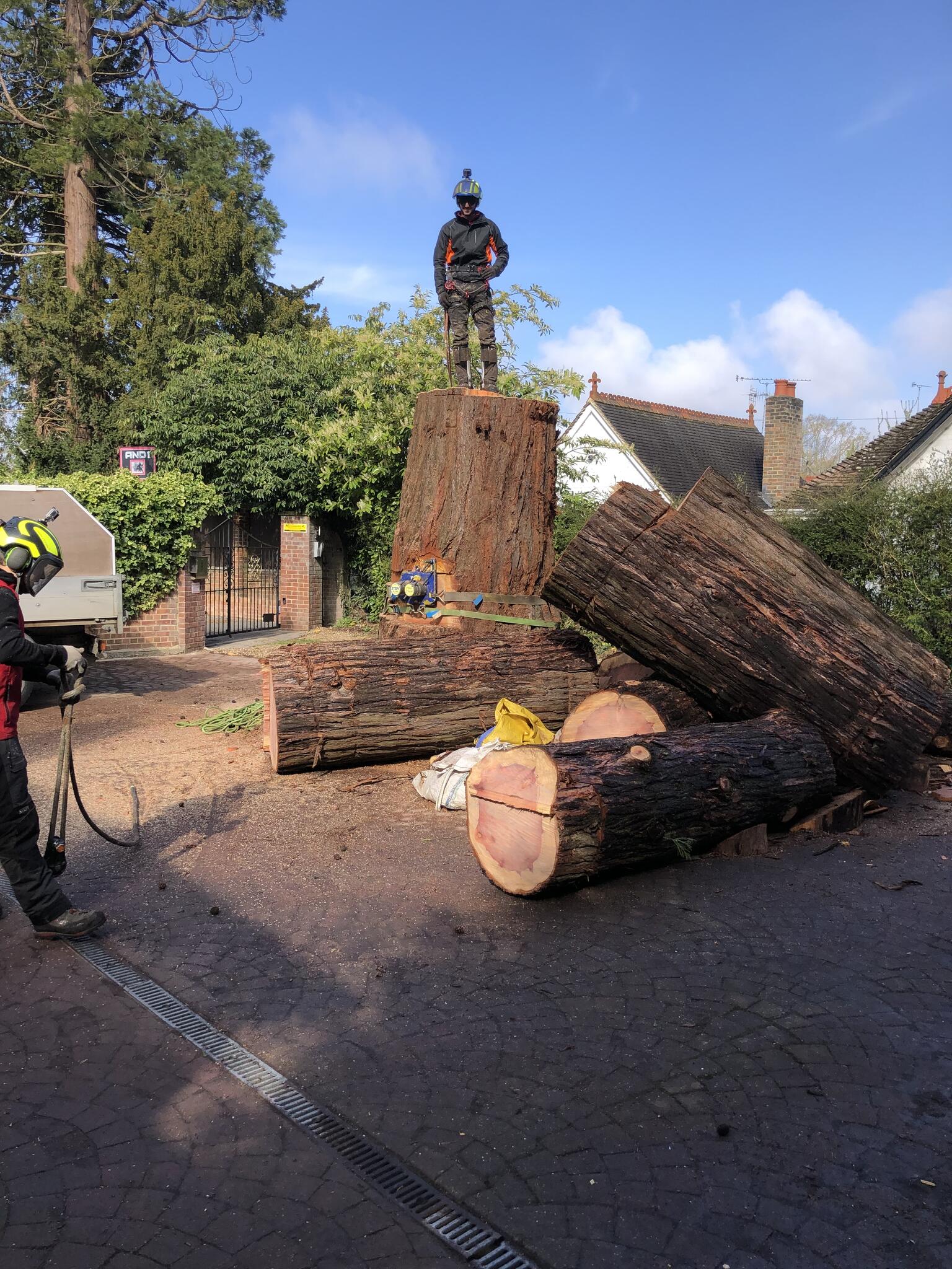 Old Mill Tree Care - Nextdoor