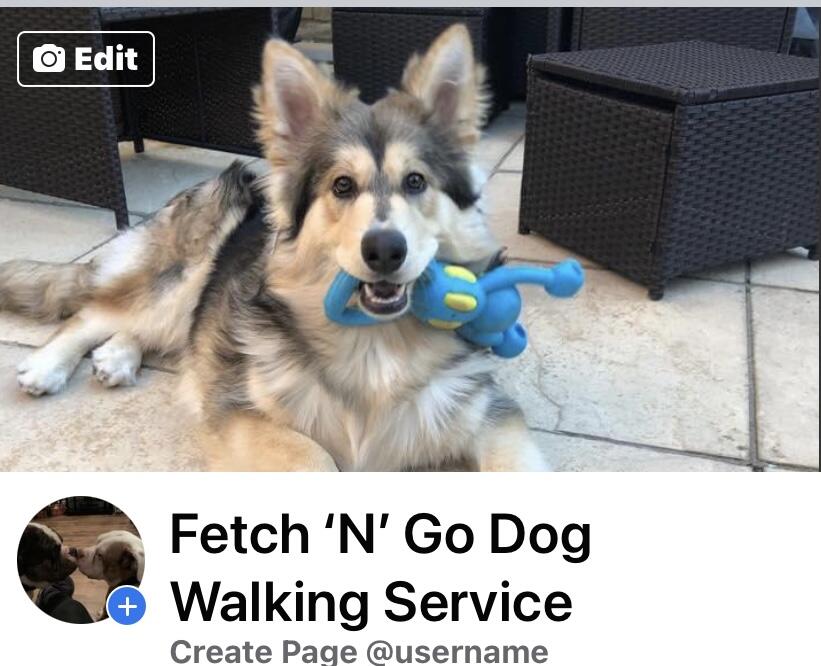 Fetch ‘n’ Go Dog Walking - Bedford - Nextdoor