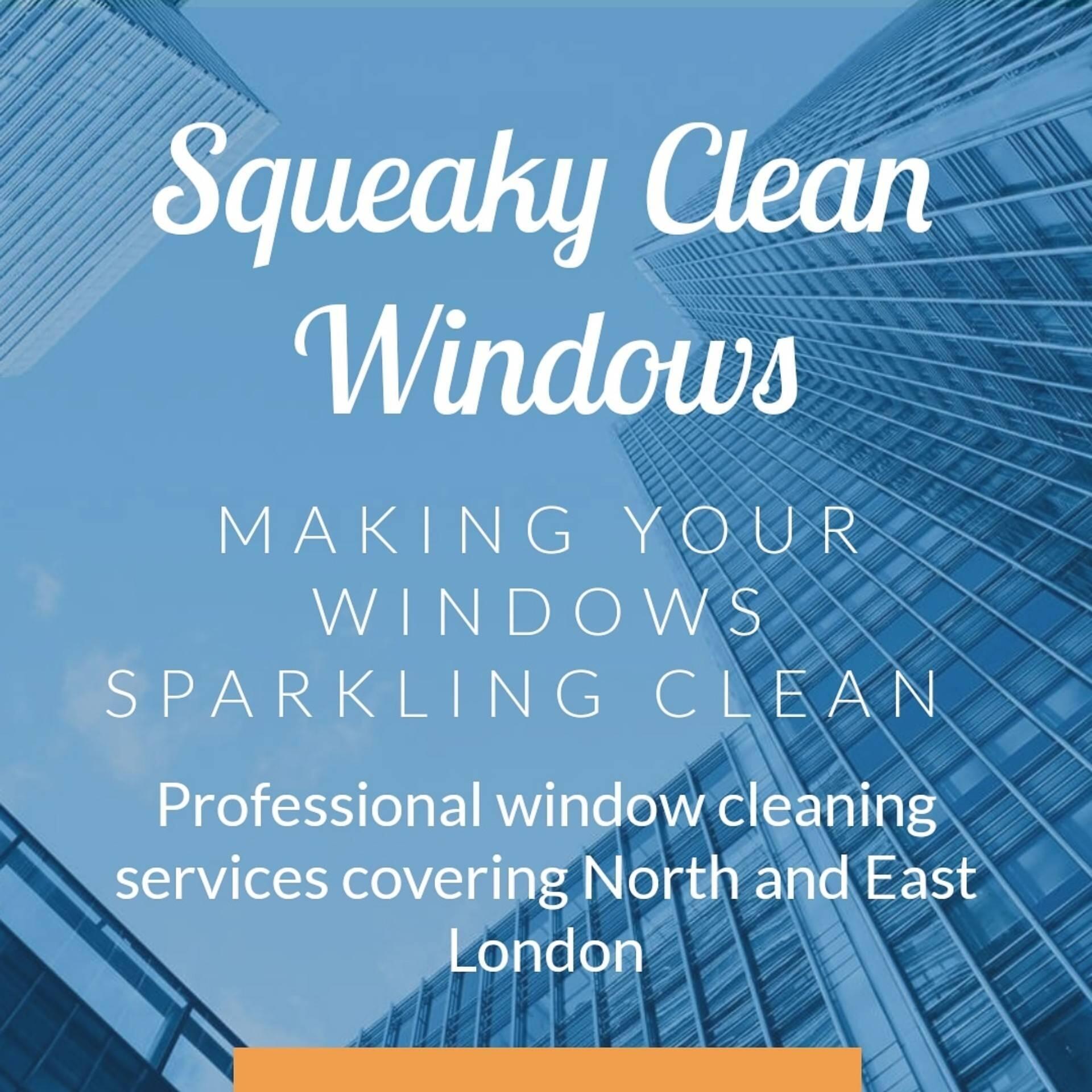 Squeaky Clean Windows. - London, GB-ENG - Nextdoor