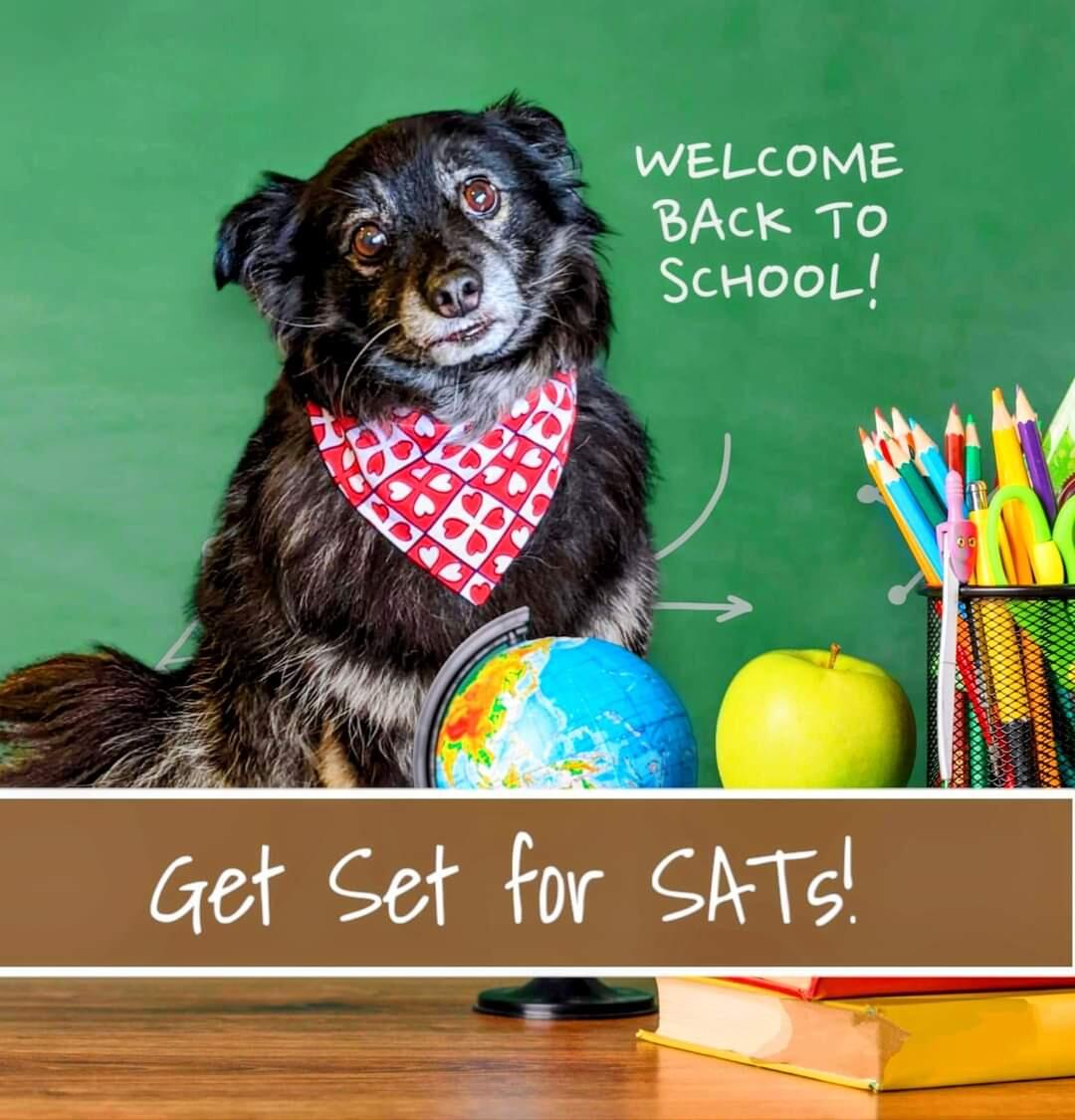 Get Set for SATs! Online Tuition - Nextdoor