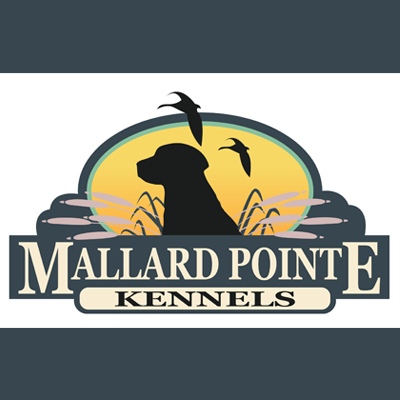 Mallard Pointe Kennels - Coal Valley, IL - Nextdoor