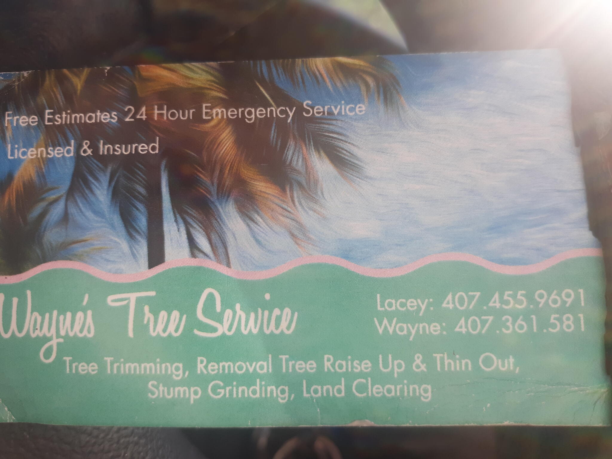 Wayne's tree & Handyman Services - Altamonte Springs, FL - Nextdoor