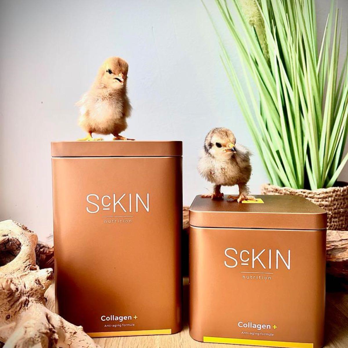 ScKIN Nutrition - Zuid-Beijerland, NL-ZH - Nextdoor