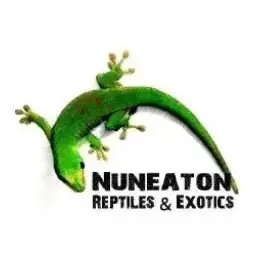 Nuneaton Reptiles & Exotics - Nuneaton - Nextdoor
