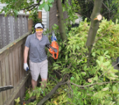 Luke Tree Service - Nextdoor