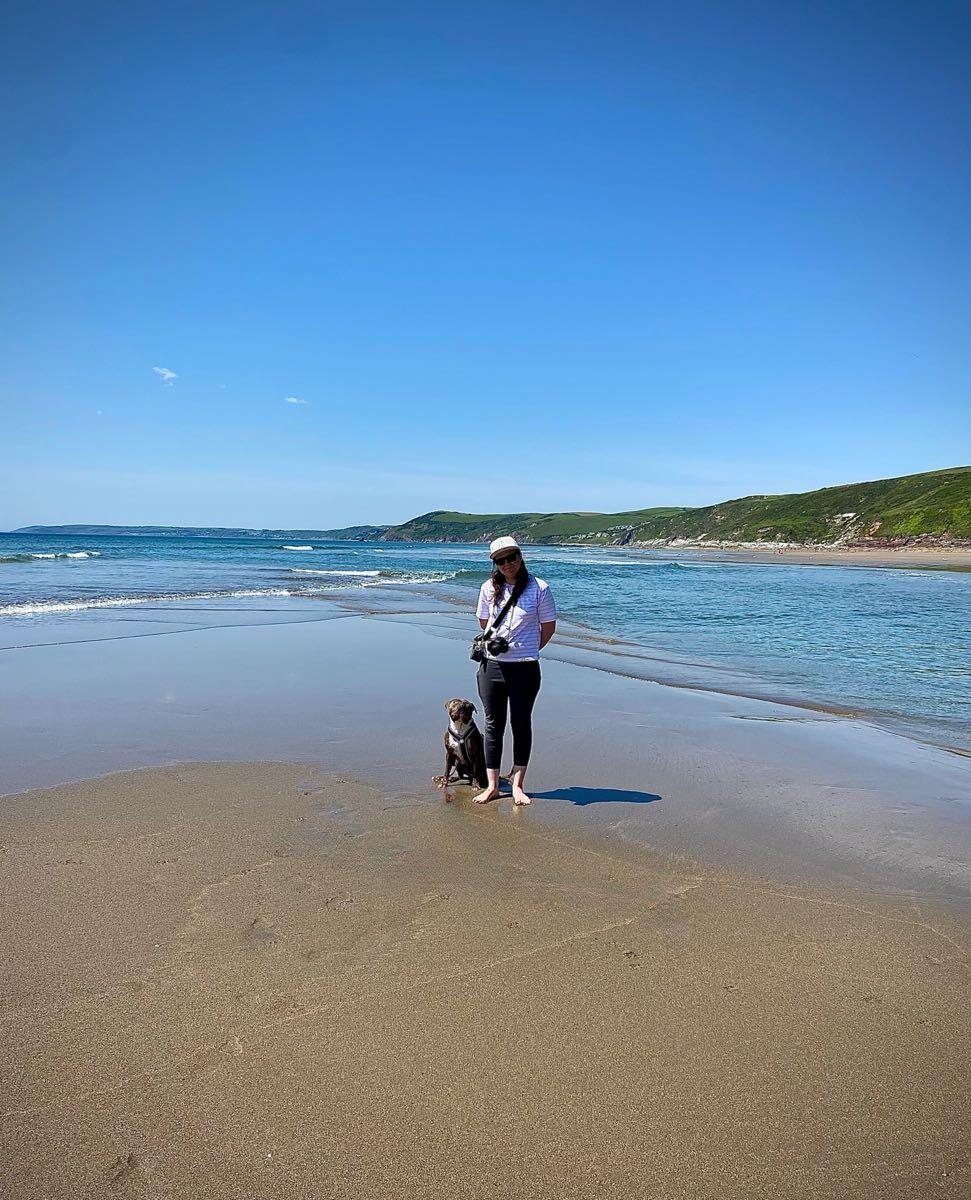 Remraf K9 Solutions : Training & Behaviour - Nextdoor