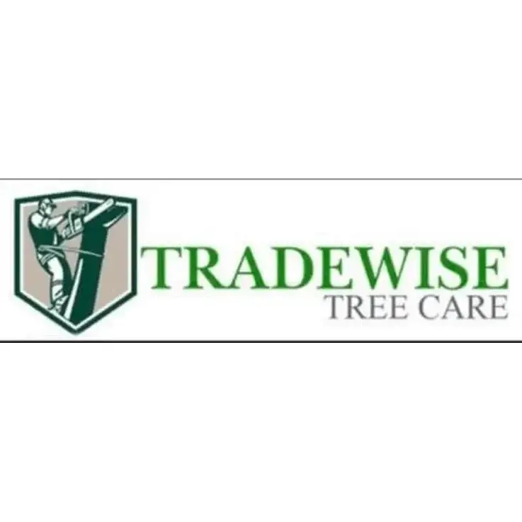 Trade Wise Tree Care - Nextdoor