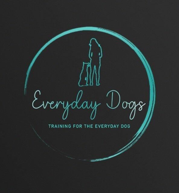 Everyday Dogs - Morden - Nextdoor
