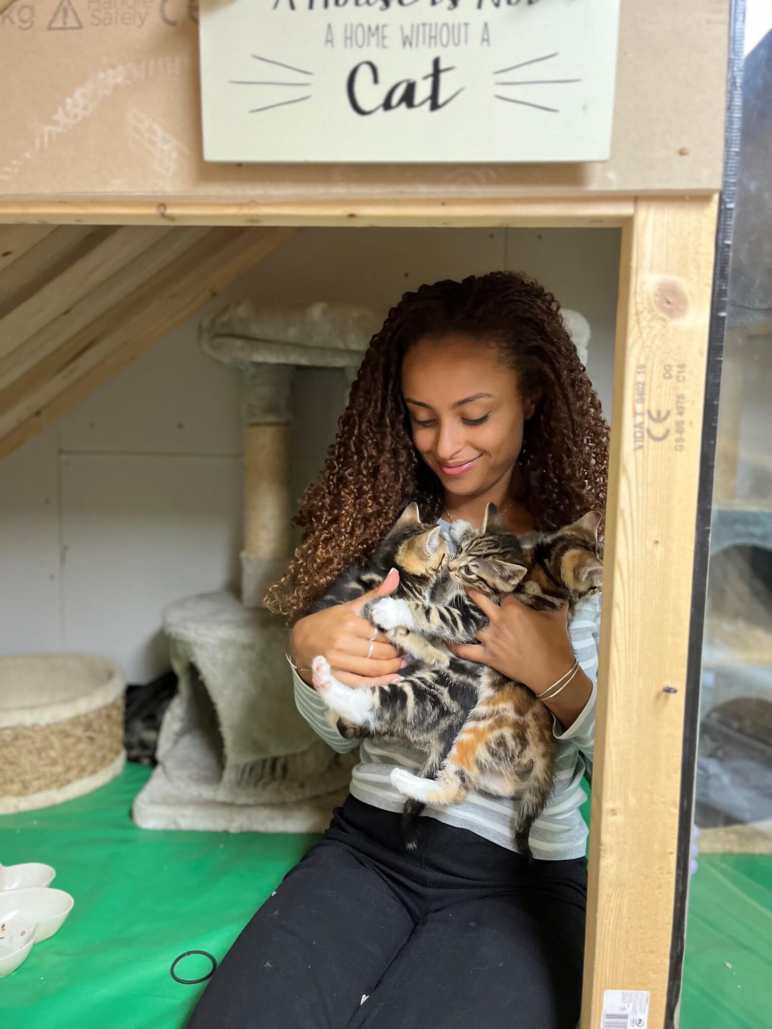 Kitten and Cat Rescue - Nextdoor