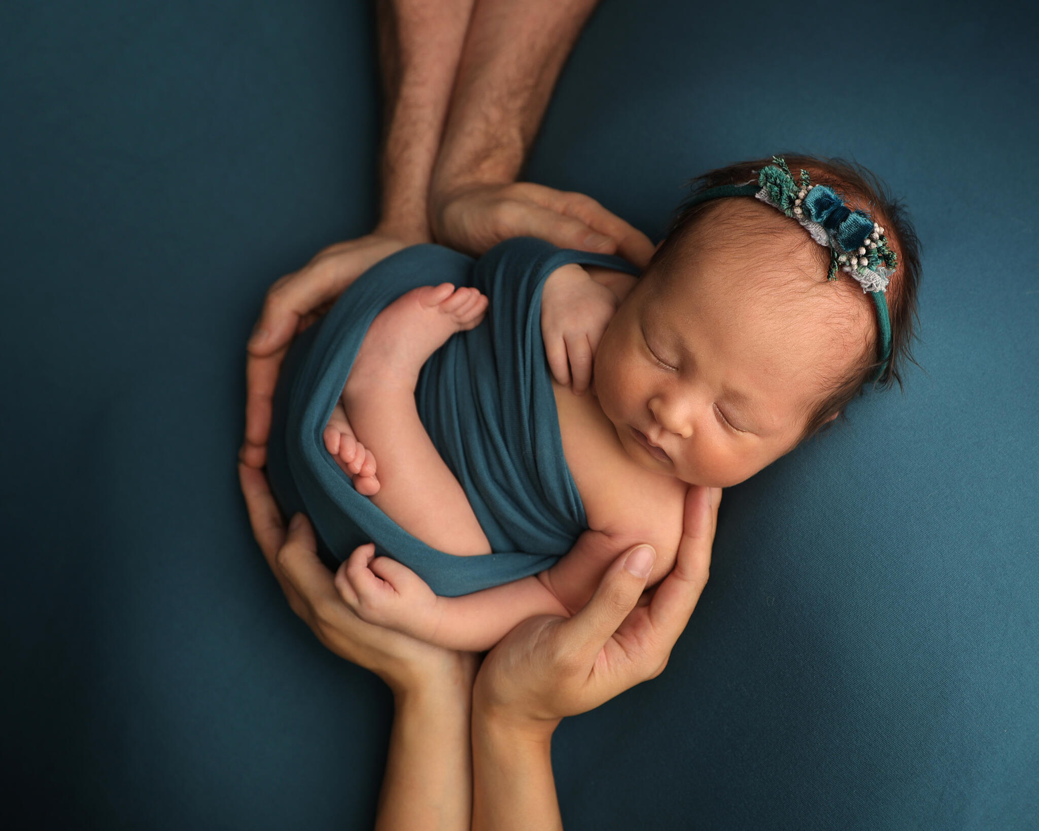 Stork Photography - Edinburgh - Nextdoor