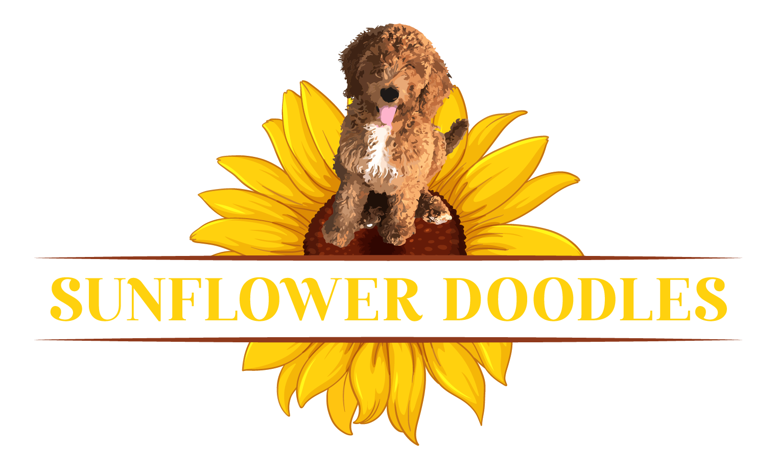 Sunflower doodles - Nextdoor