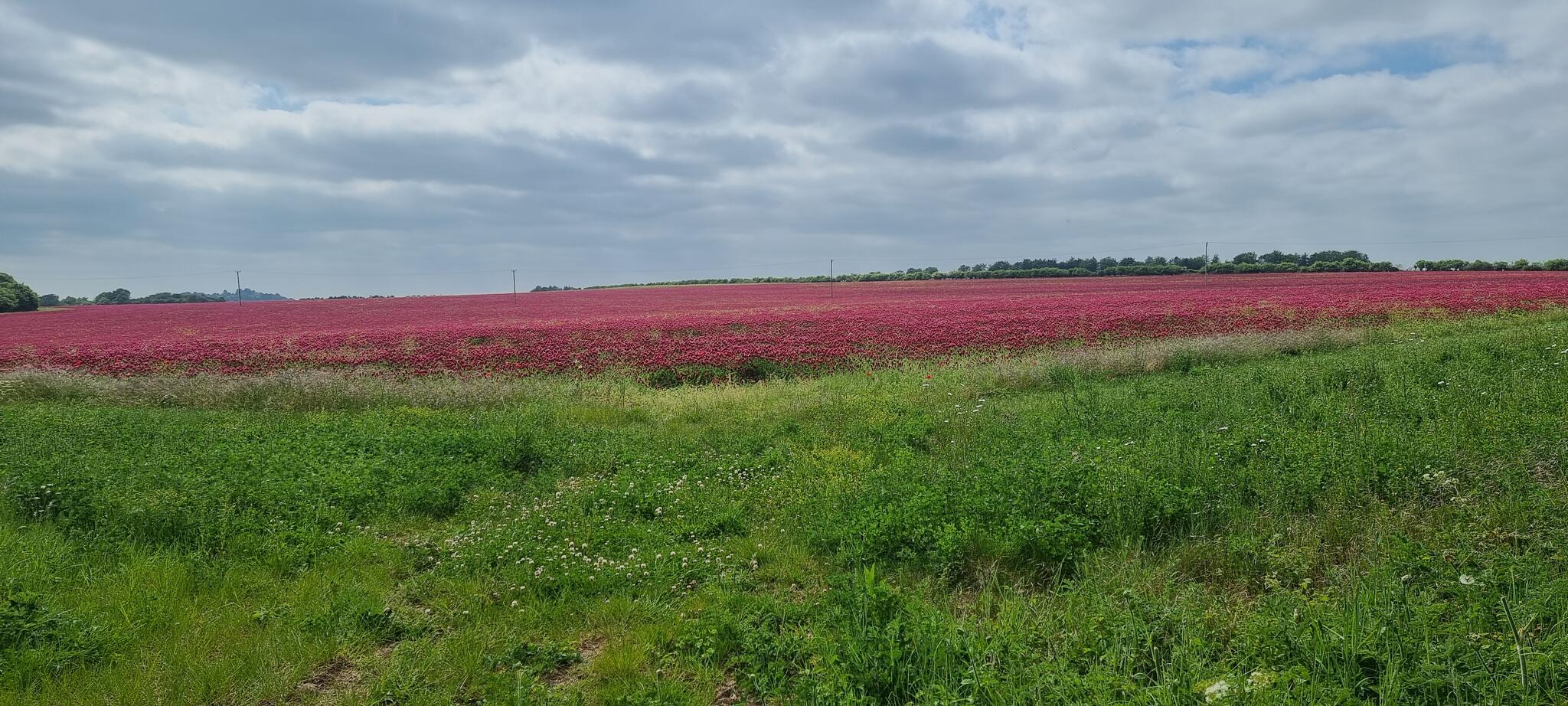 CoCreator Man&van - Nextdoor