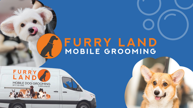 Furry Land of Central Ohio - Columbus, OH - Nextdoor