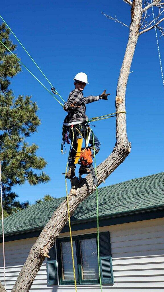 Happy Tree Services - Nextdoor
