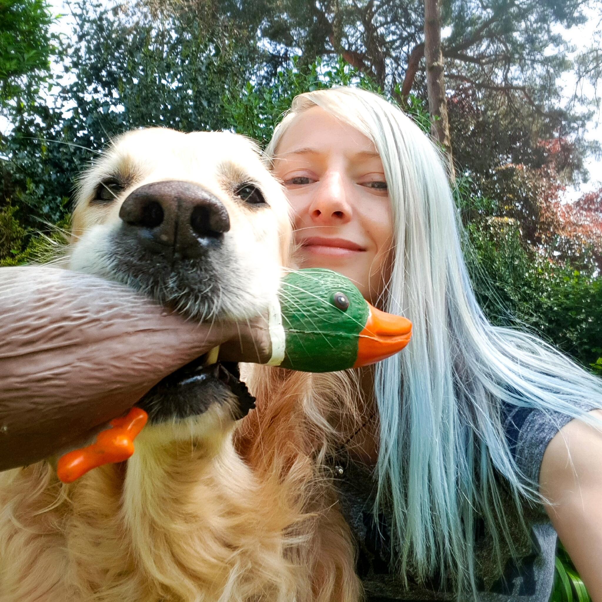 Moordown Dog Walker (Sarah) - Nextdoor