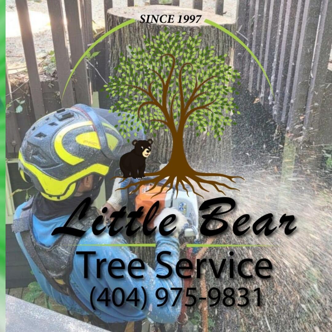 Little Bear Tree Service - Nextdoor