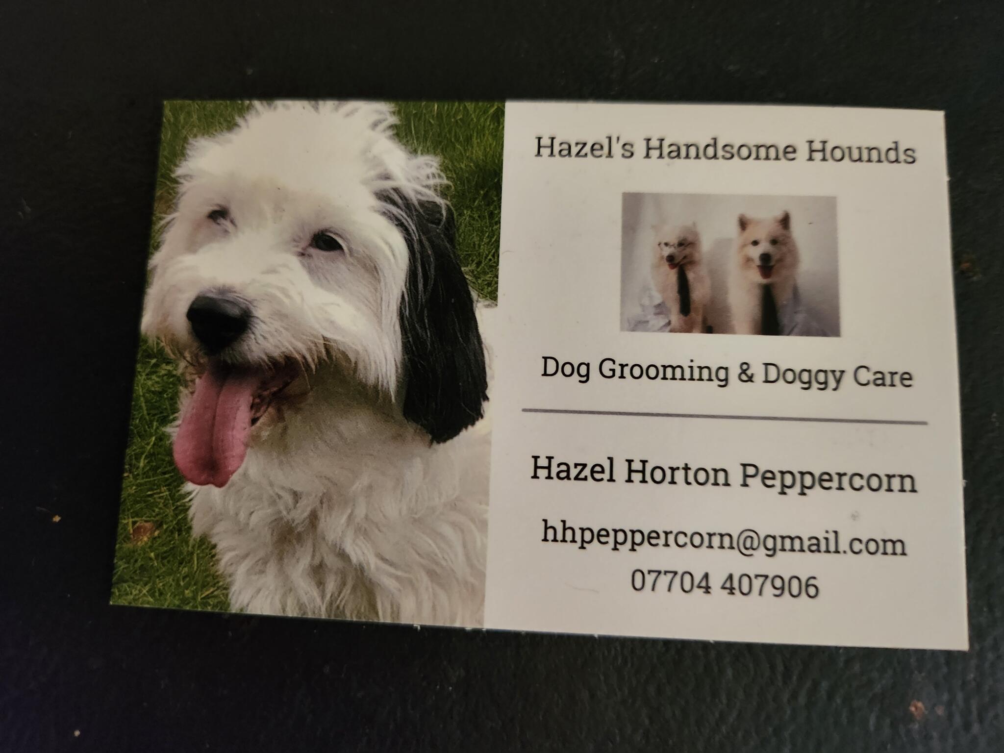 Hazel's Handsome Hounds - Southam, GB-ENG - Nextdoor