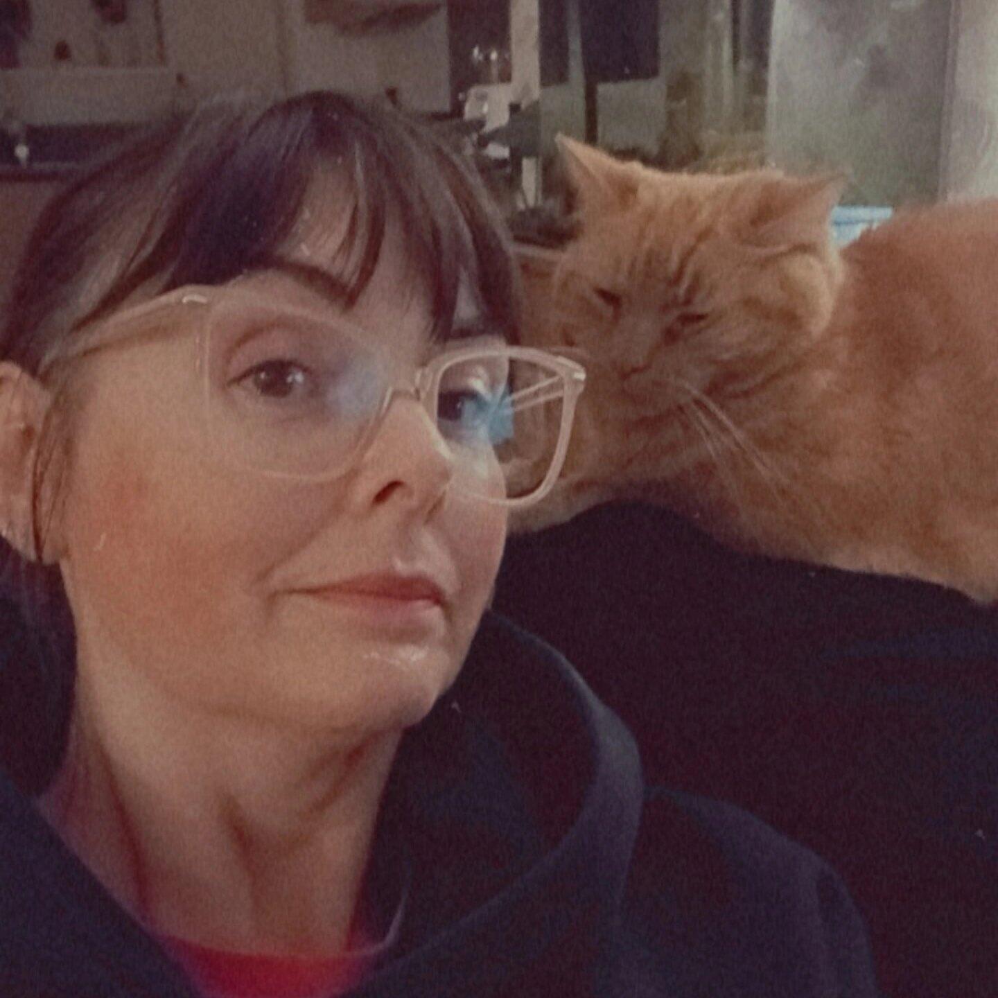 The Cat Butler - Didsbury - Nextdoor