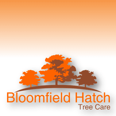 Bloomfield Hatch Tree Care - Reading - Nextdoor