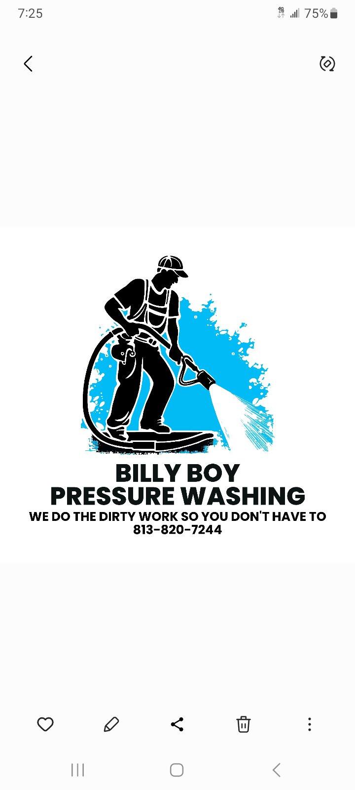 Billy Boy Pressure Washing - Nextdoor