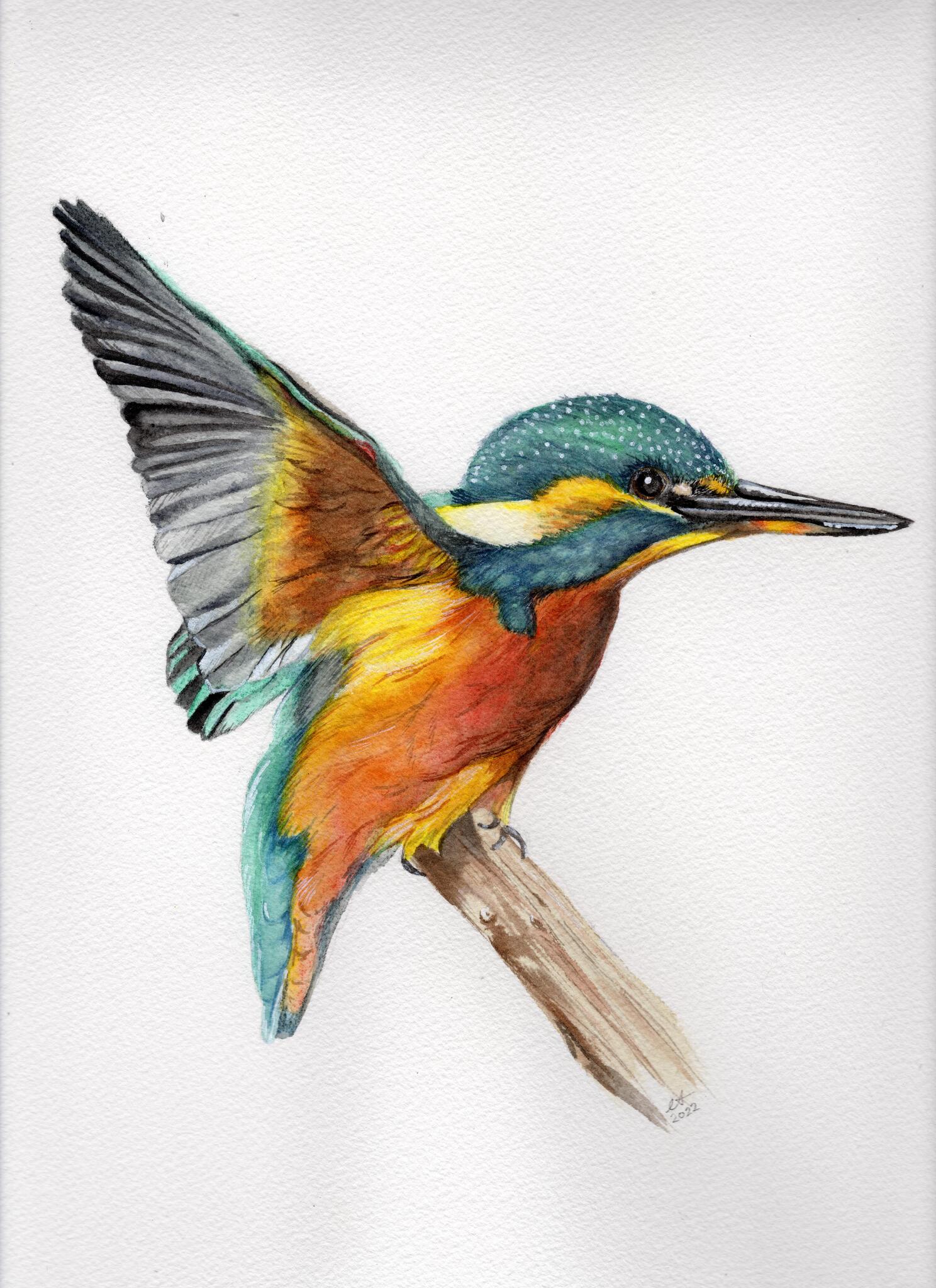 nikki thomas art - Nextdoor