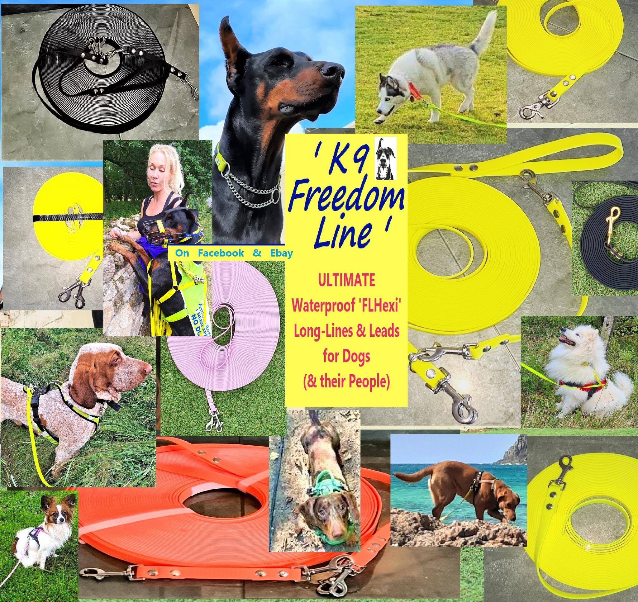 K9 Freedom Line - Swadlincote - Nextdoor