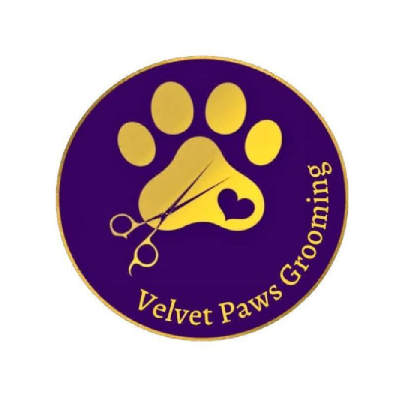Velvet Paws Grooming - Nextdoor