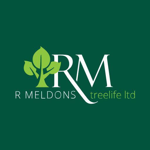 R Meldon's Treelife - Twickenham, GB-ENG - Nextdoor