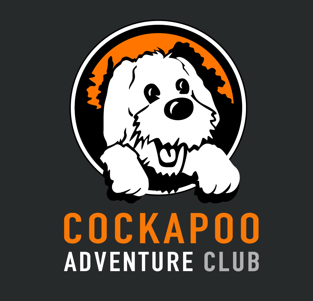 Cockapoo Adventure Club - London, GB-ENG - Nextdoor
