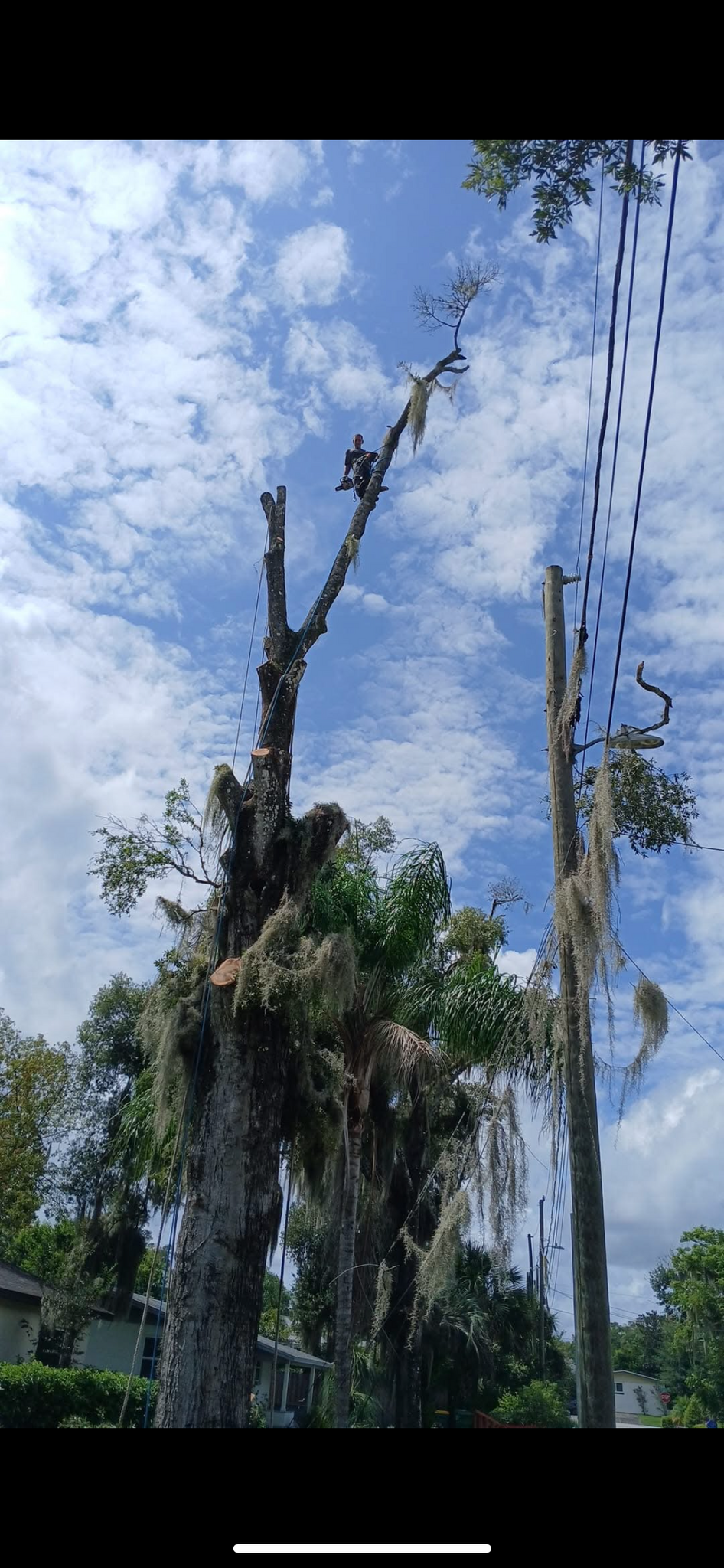Es Lumberjacks LLC - Nextdoor